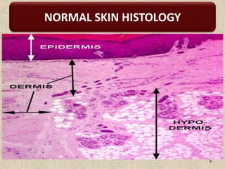 Dermatopathology_(4th_Year).ppt