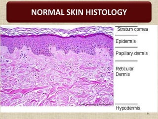 Dermatopathology_(4th_Year).ppt