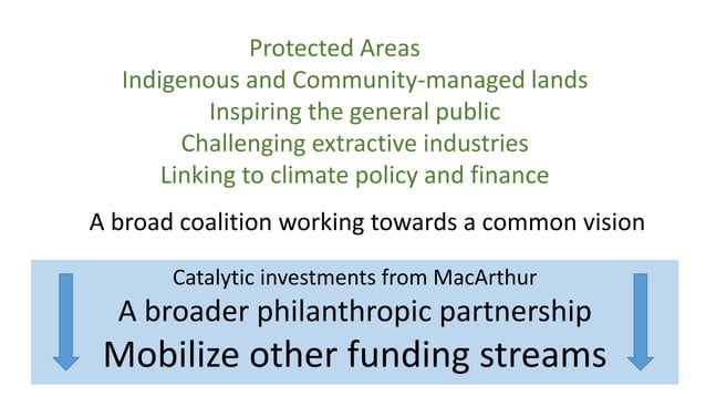 The 5 Great Forests: A Global Initiative for Intact Primary Forests ...