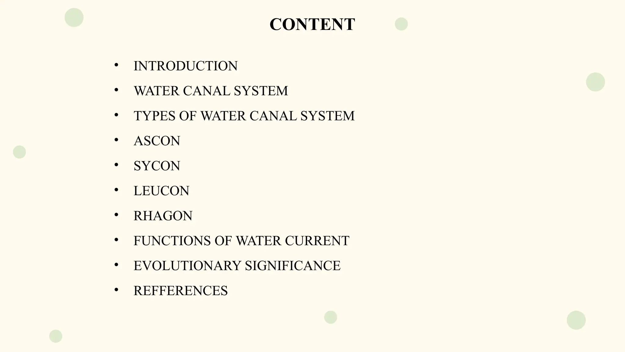 Water Canal System In Porifera Phylum Ppt