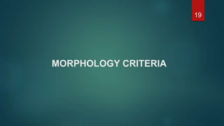 approach to wide complex tachycardia | PPTX