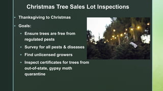 Elongate Hemlock Scale and Boxwood Blight: Emerging Invasive Threats to ...