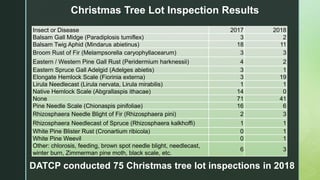 Elongate Hemlock Scale and Boxwood Blight: Emerging Invasive Threats to Wisconsin's Christmas ...