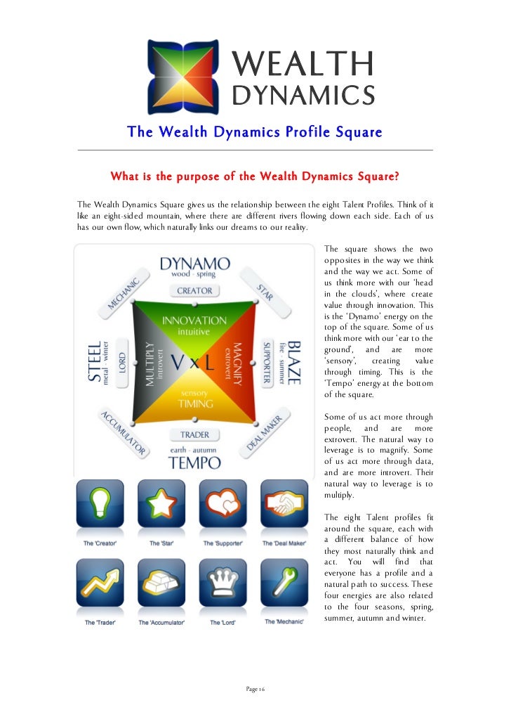 Sample Wealth Dynamics Report - What Entrepreneur Profile are You?