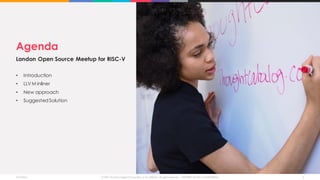 WD RISC-V inliner work effort | PDF | Programming Languages | Computing