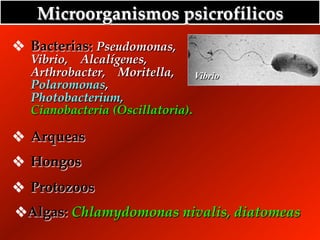 Efecto temperatura sobre el crecimiento microbiano | PDF
