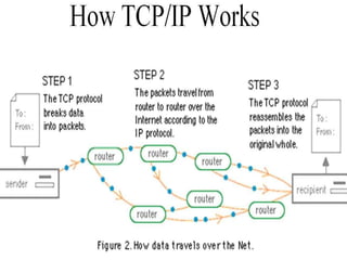 An Introduction To World Wide Web | PPTX