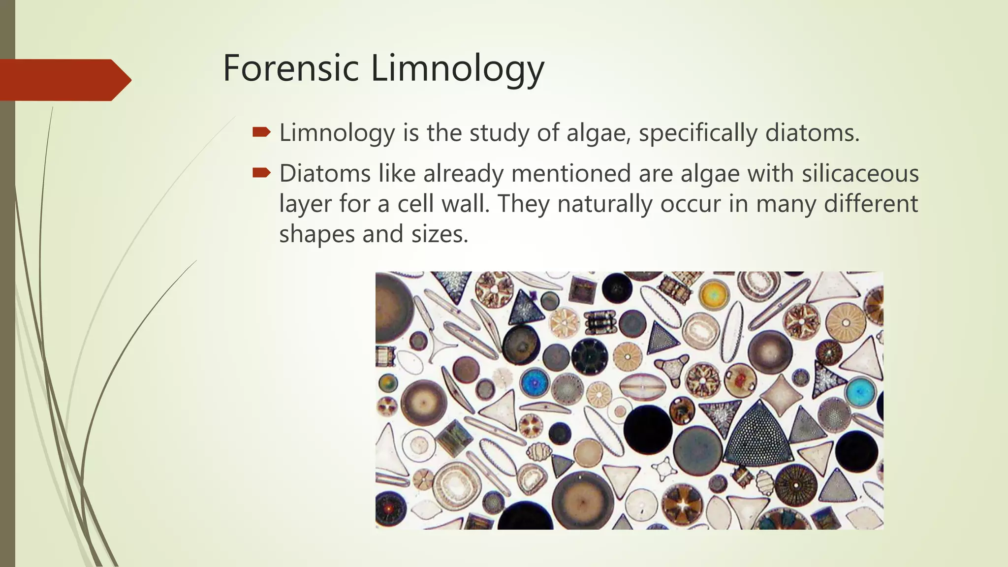 Forensic Botany | PPTX