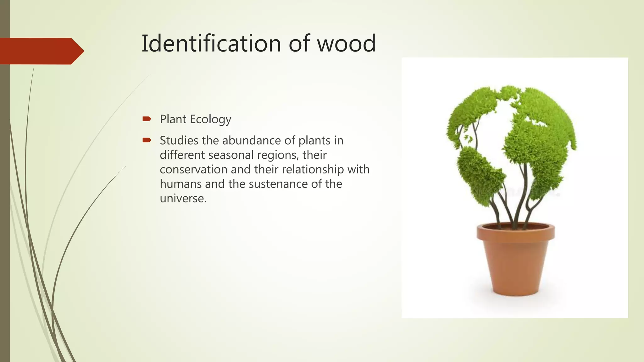 Forensic Botany | PPTX