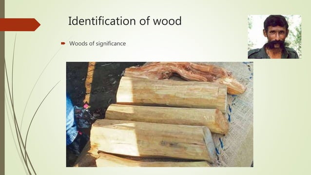 Forensic Botany | PPTX