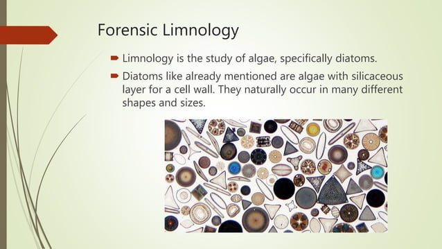 Forensic Botany | PPTX