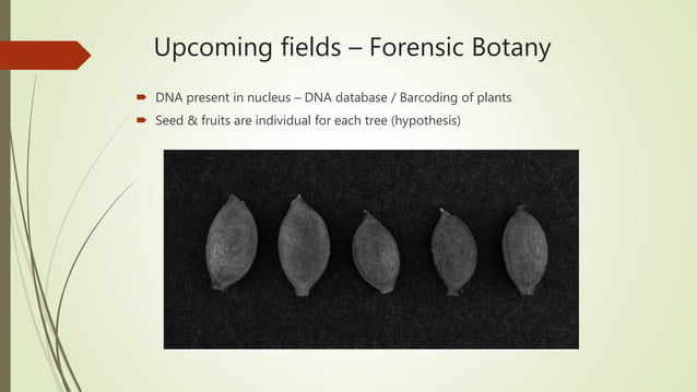 Forensic Botany | PPTX