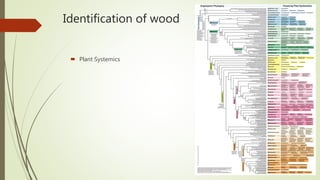 Forensic Botany | PPTX