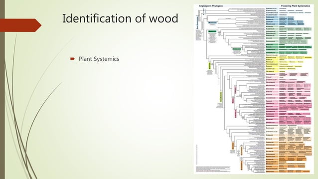 Forensic Botany | PPTX
