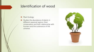 Forensic Botany | PPTX