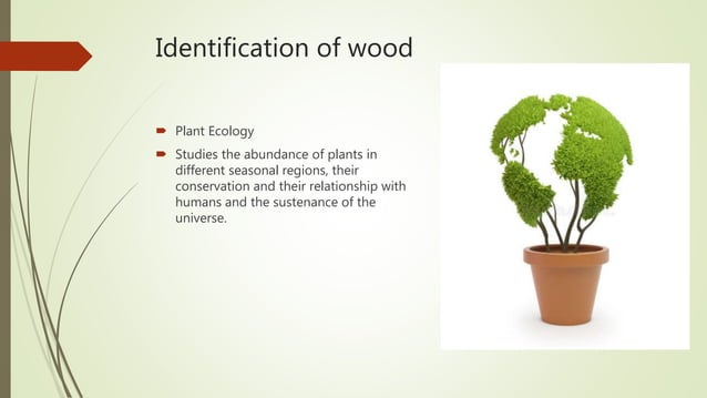 Forensic Botany | PPTX