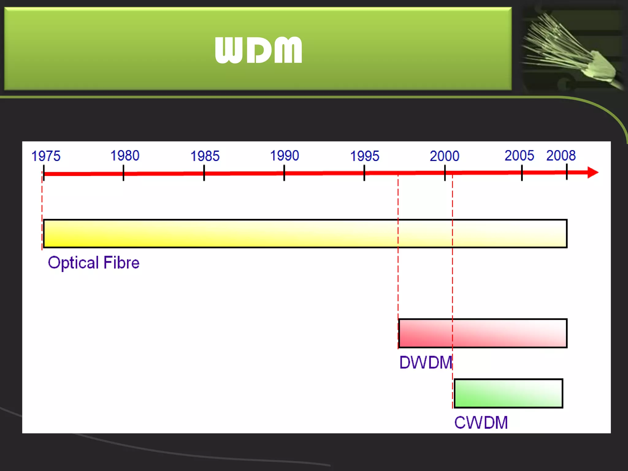 WDM & Optical Amplifiers | PPTX