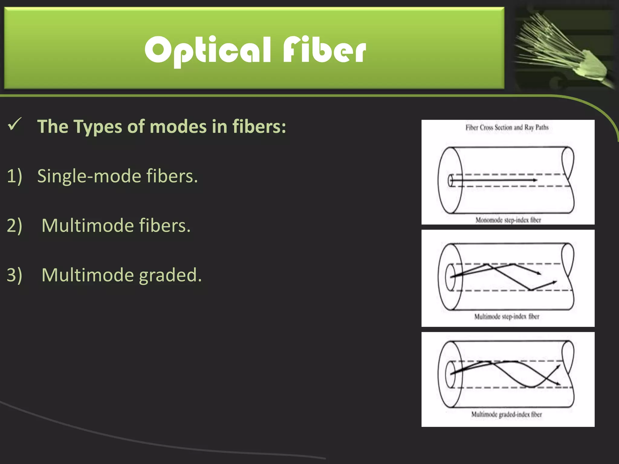 WDM & Optical Amplifiers | PPTX