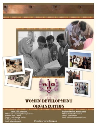 Wdo profile (1) | PDF