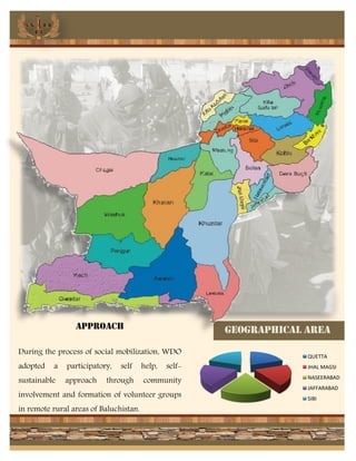 Wdo profile (1) | PDF