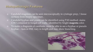 Non keratotic white lesions of the oral cavity | PPTX