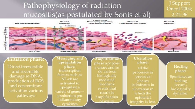 Mucositis Pathophysiology
