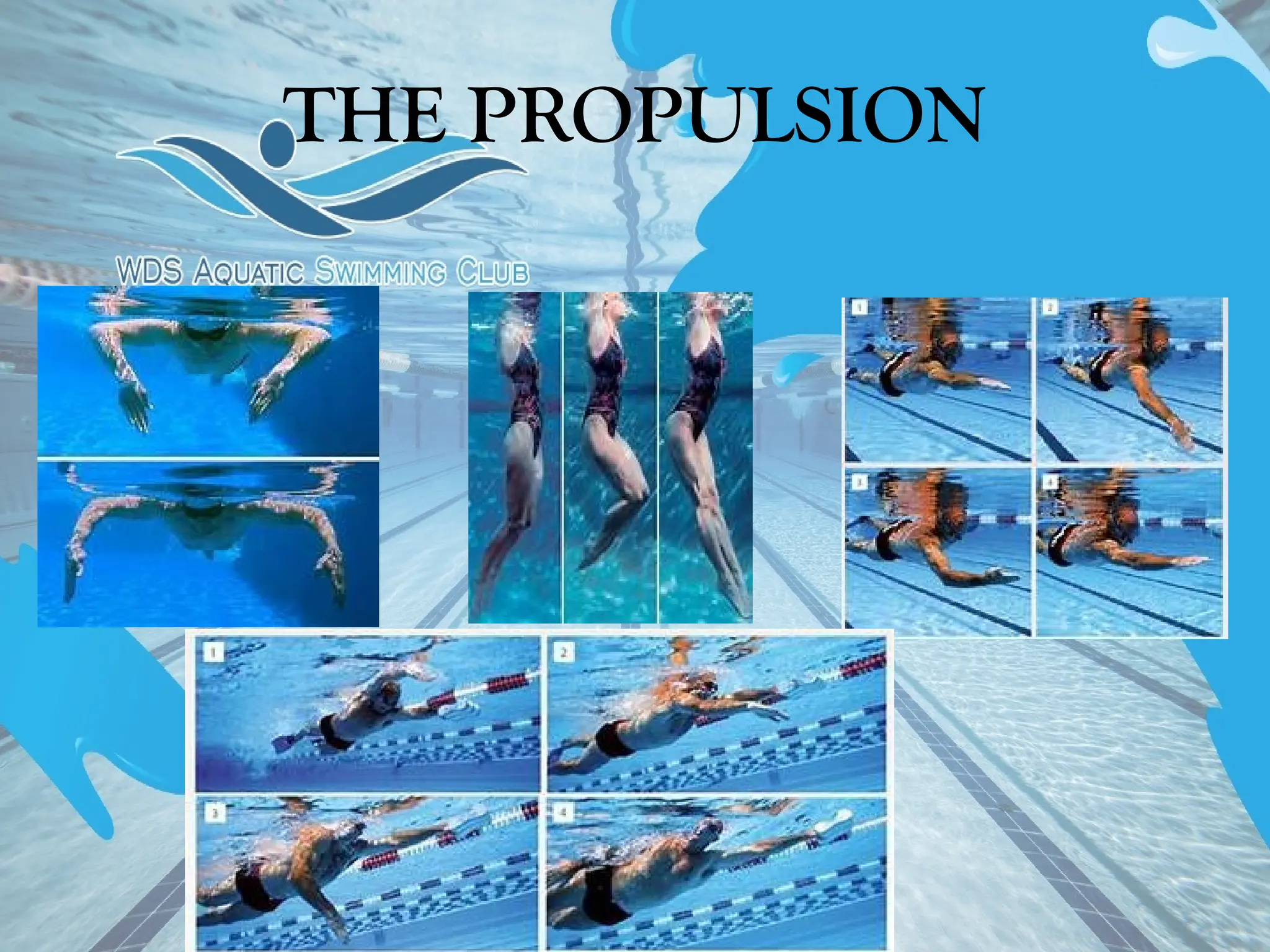 Win D Swimming Tiga puluh tahun Oct.pptx