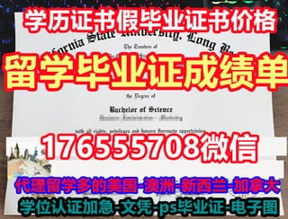 MSU毕业证 | PDF