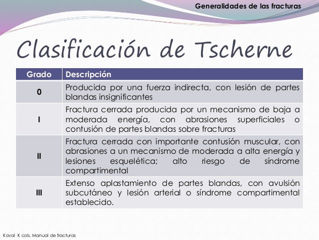 Generalidades de las fracturas...