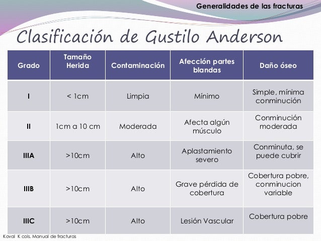 Generalidades de las fracturas...