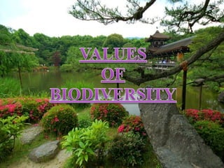 value of biodiversity | PPT