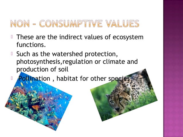 value of biodiversity | PPT | Environment | Science