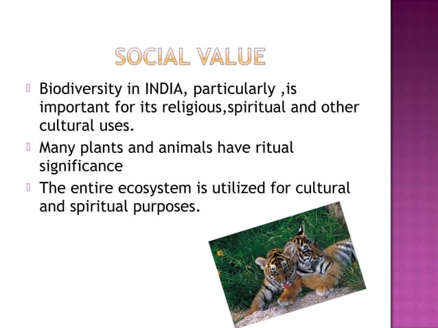 value of biodiversity | PPT | Environment | Science