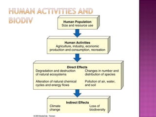 value of biodiversity | PPT