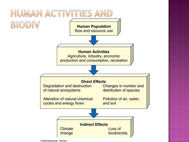 value of biodiversity | PPT | Environment | Science