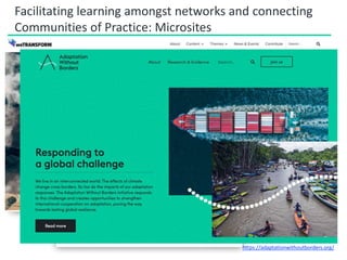 An introduction to weADAPT | PPTX