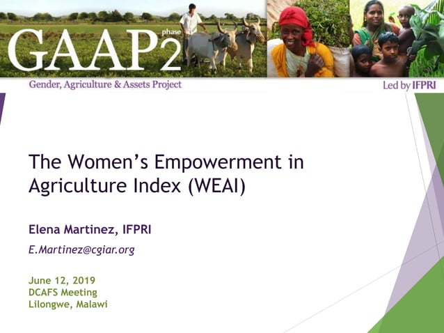 The Women’s Empowerment in Agriculture Index (WEAI) | PPT