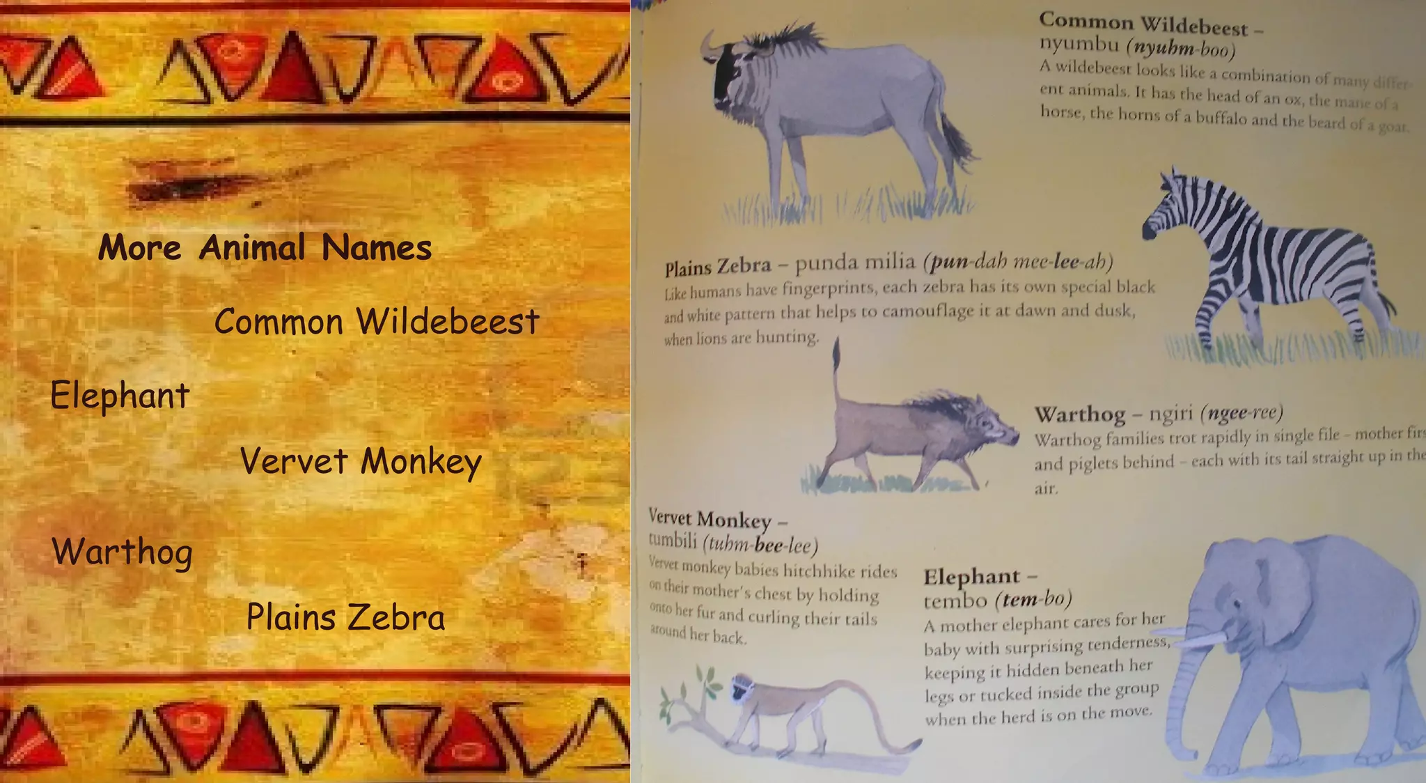 We all went on safari | PPT