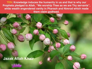 Wealth vs Knowledge | PDF