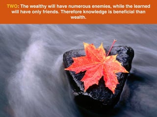 Wealth vs Knowledge | PDF