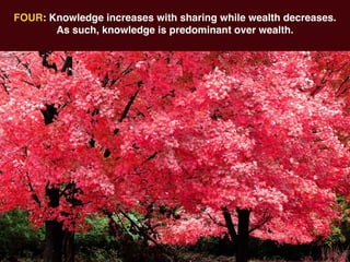 Wealth vs Knowledge | PDF