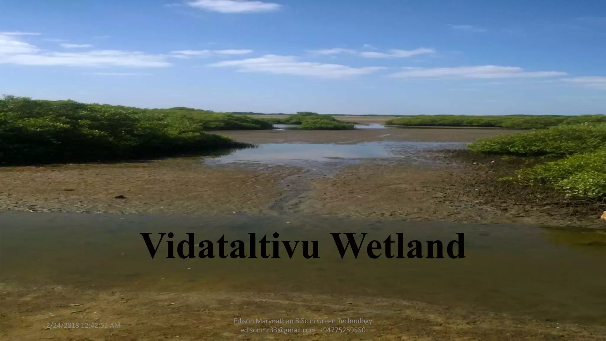 We and our wetland | PPT