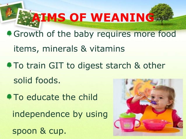 Weaning | PPTX | Parenting Babies and Toddlers | Parenting