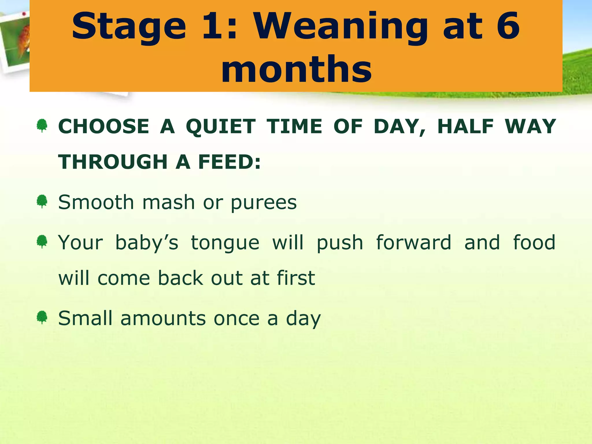 Weaning | PPTX