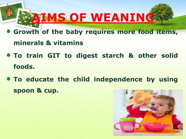 Weaning | PPTX | Parenting Babies and Toddlers | Parenting