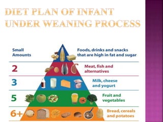 Weaning | PPTX