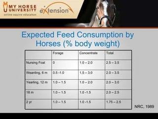 Weaning A Foal (Skelly) | PPT | Equine Sports | Sports