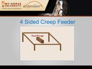 Weaning A Foal (Skelly) | PPT | Equine Sports | Sports