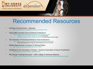 Weaning A Foal (Skelly) | PPT | Equine Sports | Sports