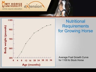 Weaning A Foal (Skelly) | PPT | Equine Sports | Sports
